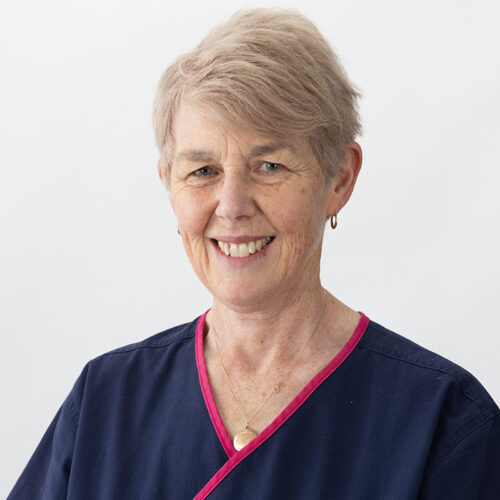About Real Dentistry | Wellington Dentist | Professional Dental Practice
